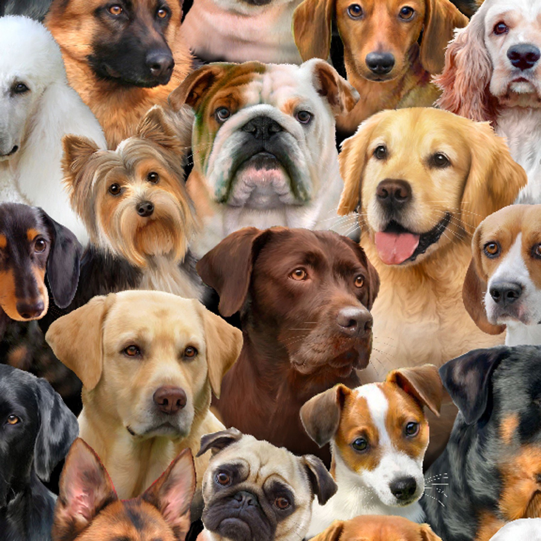 Here are dogs breeds that make wonderful for families and some are ...