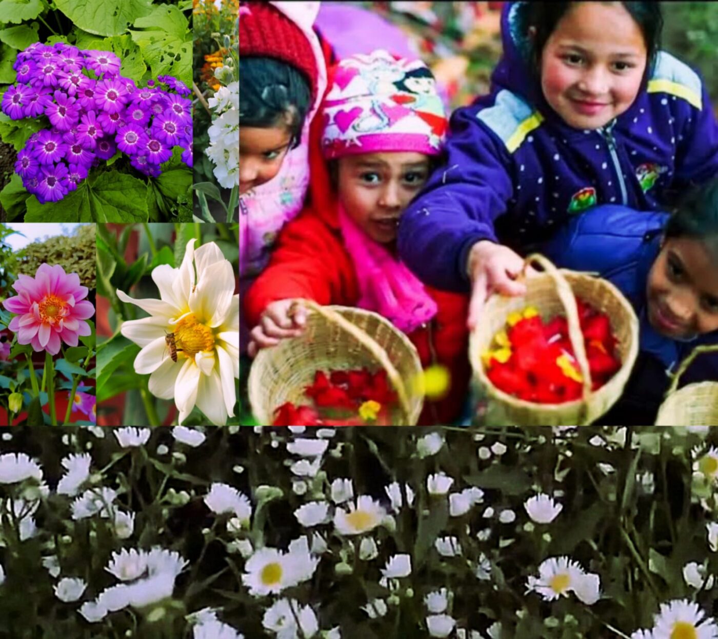 Phul Dei is the flower festival of Uttarakhand, celebrated to welcome ...